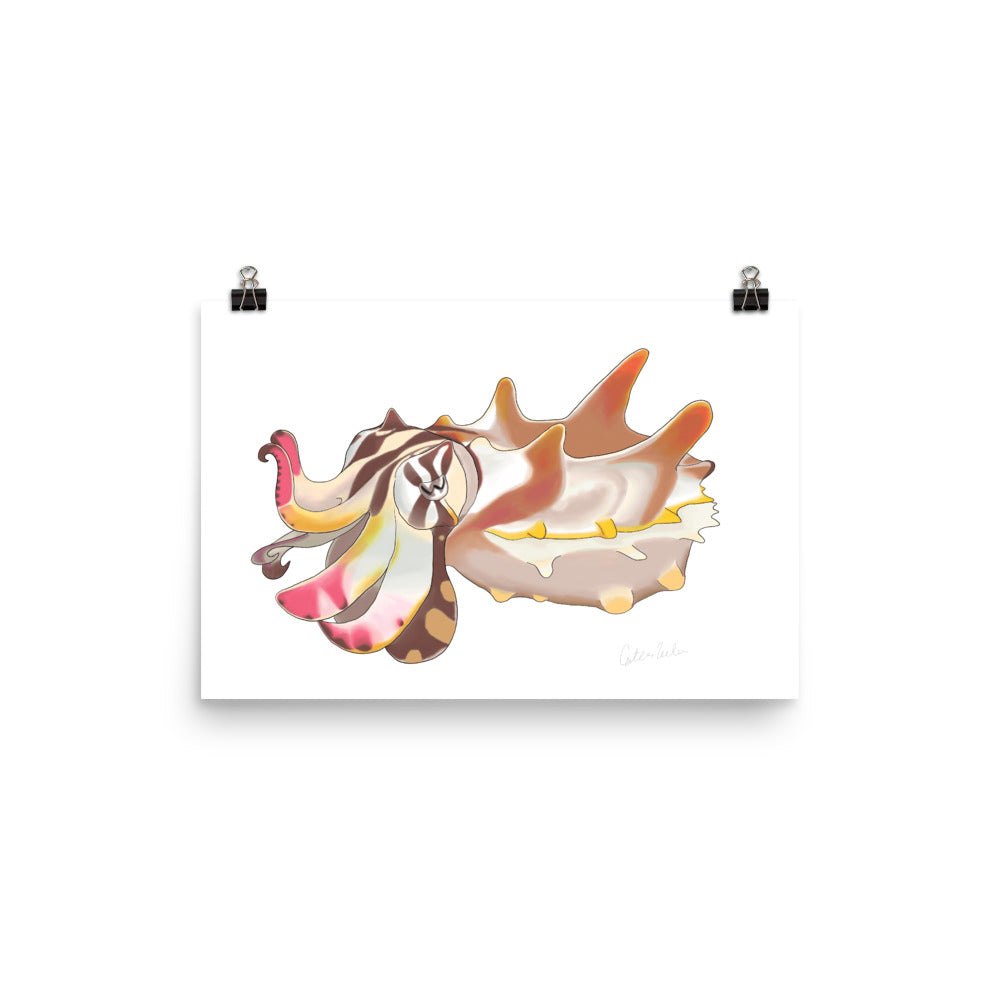 Flamboyant Cuttlefish Poster – Sea Dragon Illustration